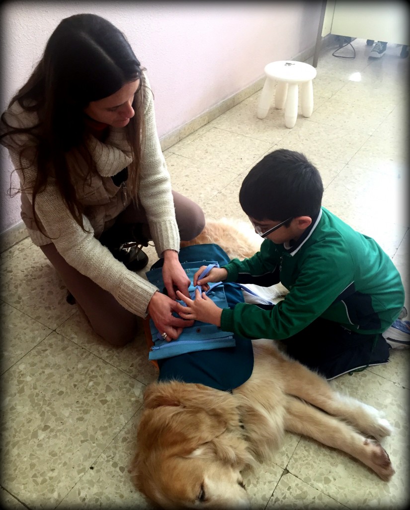 LOS ALUMNOS DISFRUTAN DE LOS PERROS DE TERAPIA – Asociación Sí Puedo
