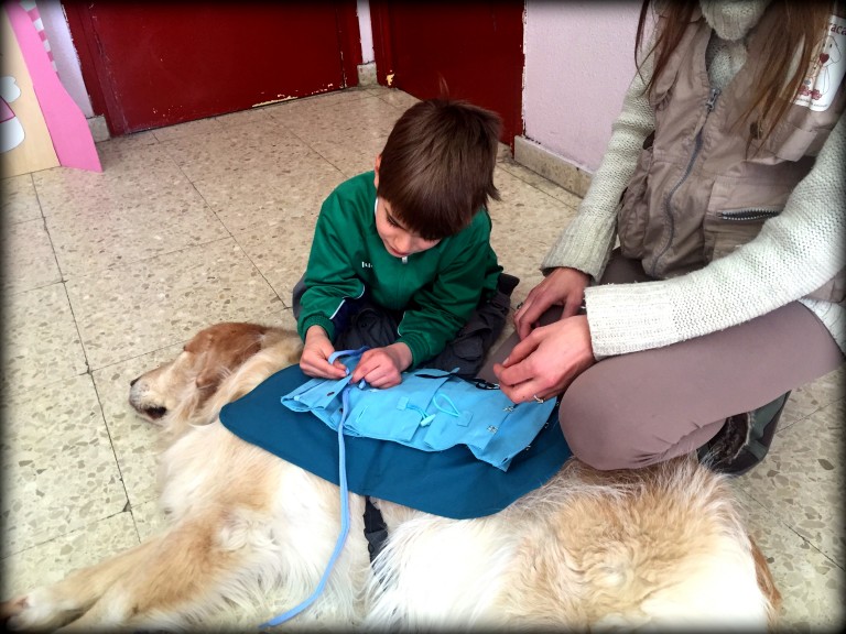 LOS ALUMNOS DISFRUTAN DE LOS PERROS DE TERAPIA – Asociación Sí Puedo